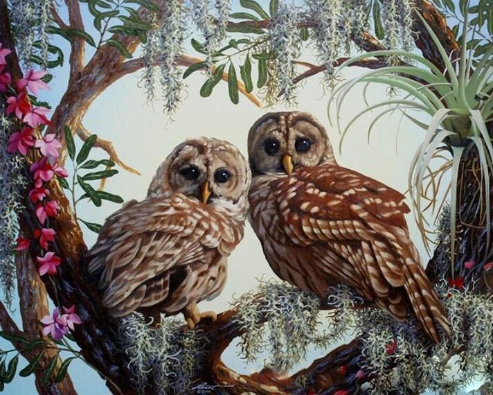 Birds – Paint by Numbers Home