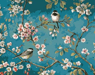 Birds – Paint by Numbers Home