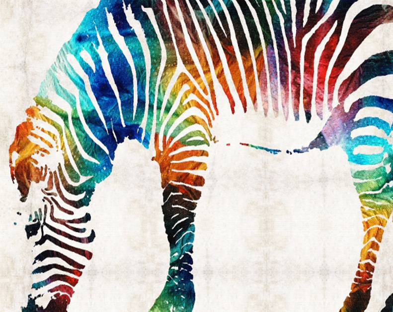 Colorful Zebra - Paint by Numbers – Paint by Numbers Home