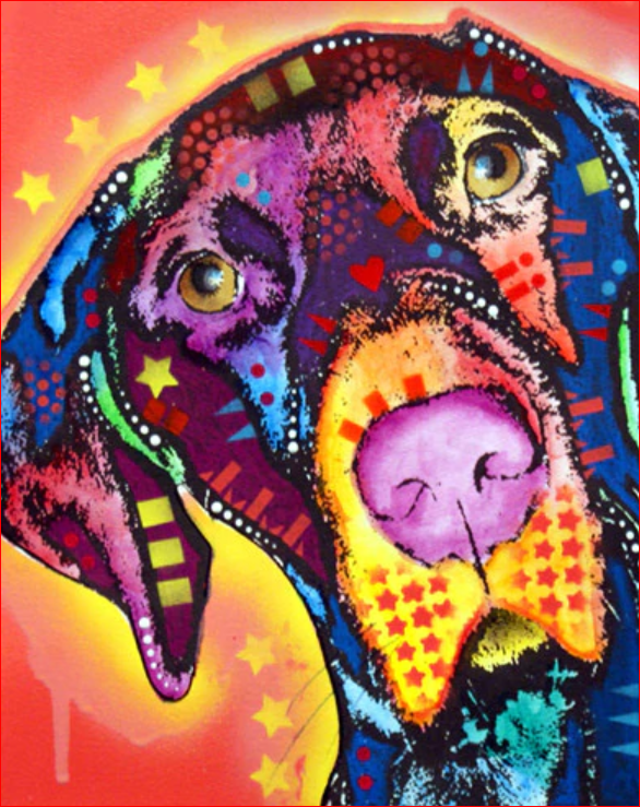 Psychedelic Dog Art – Paint by Numbers Home
